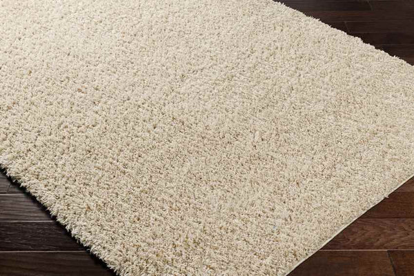 Charon Modern Beige Area Rug – Lovecup.com
